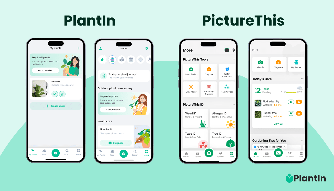 Plantin vs Picturethis: What Is the Best Plant App? (Full Review)