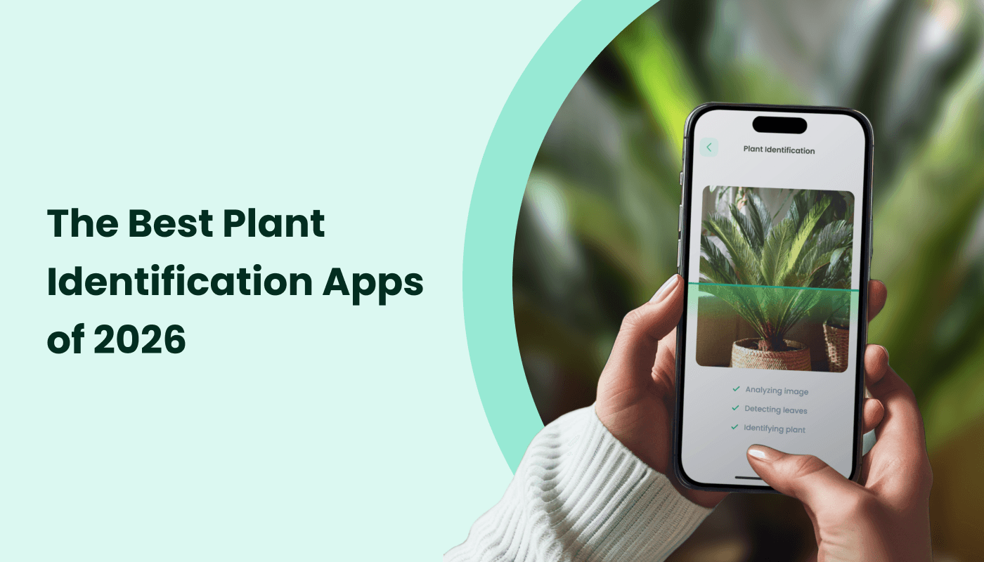 Best Plant Identification Apps 2026 (Features, Use Cases & Top Picks)