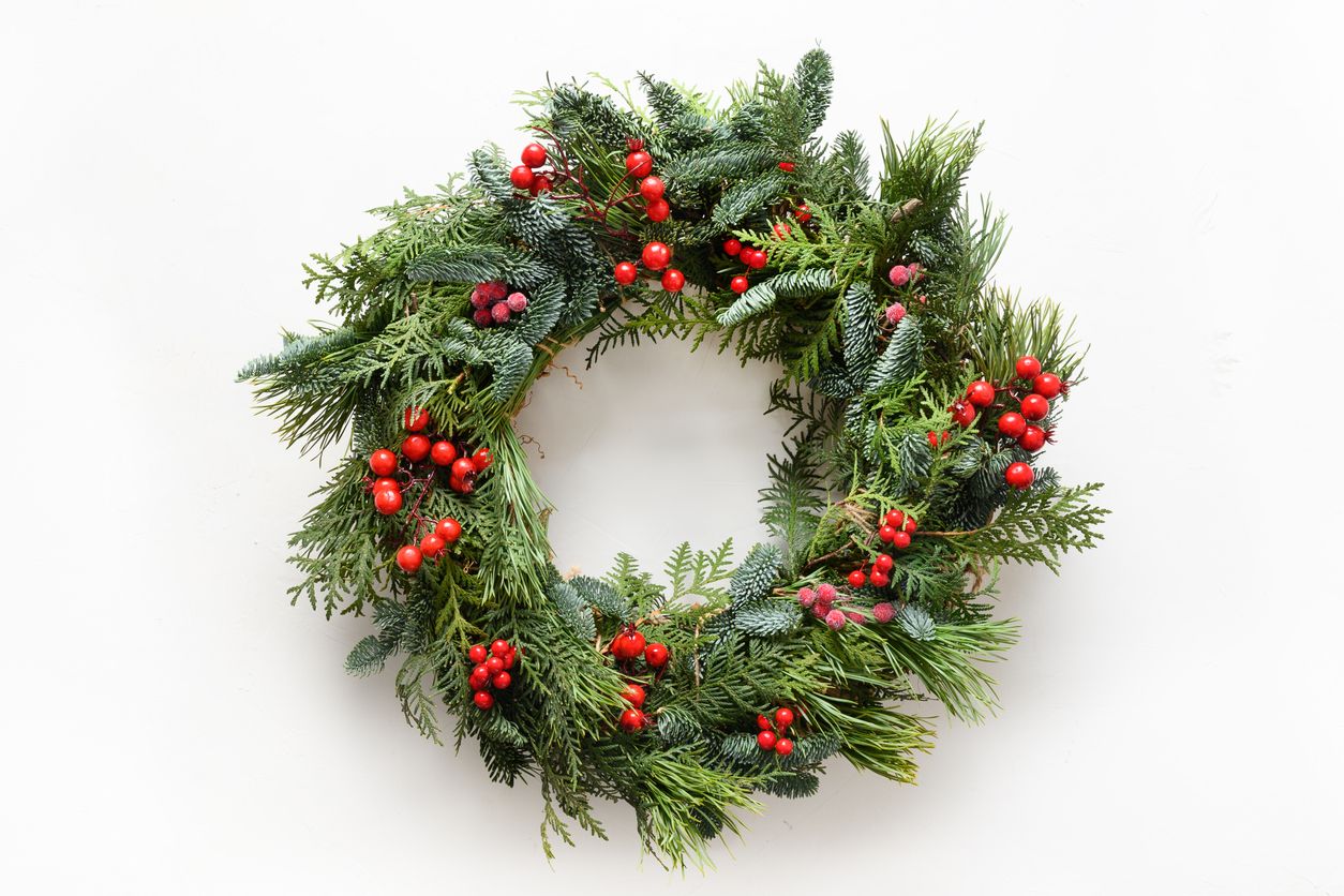 December Birth Flower – Holly vs. Narcissus Meaning (Overview Guide)