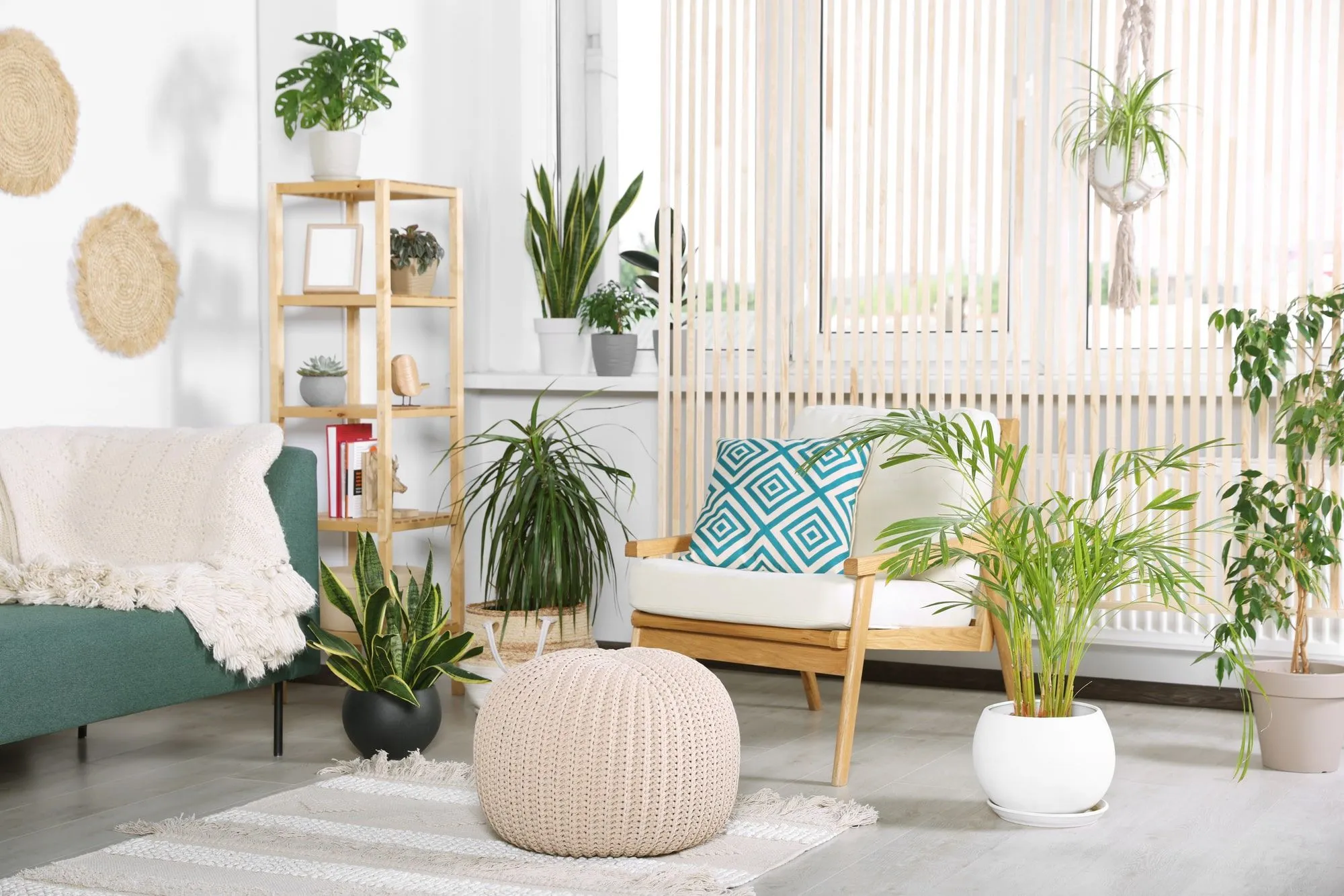 Green Plants Living Room Ideas | Cabinets Matttroy
