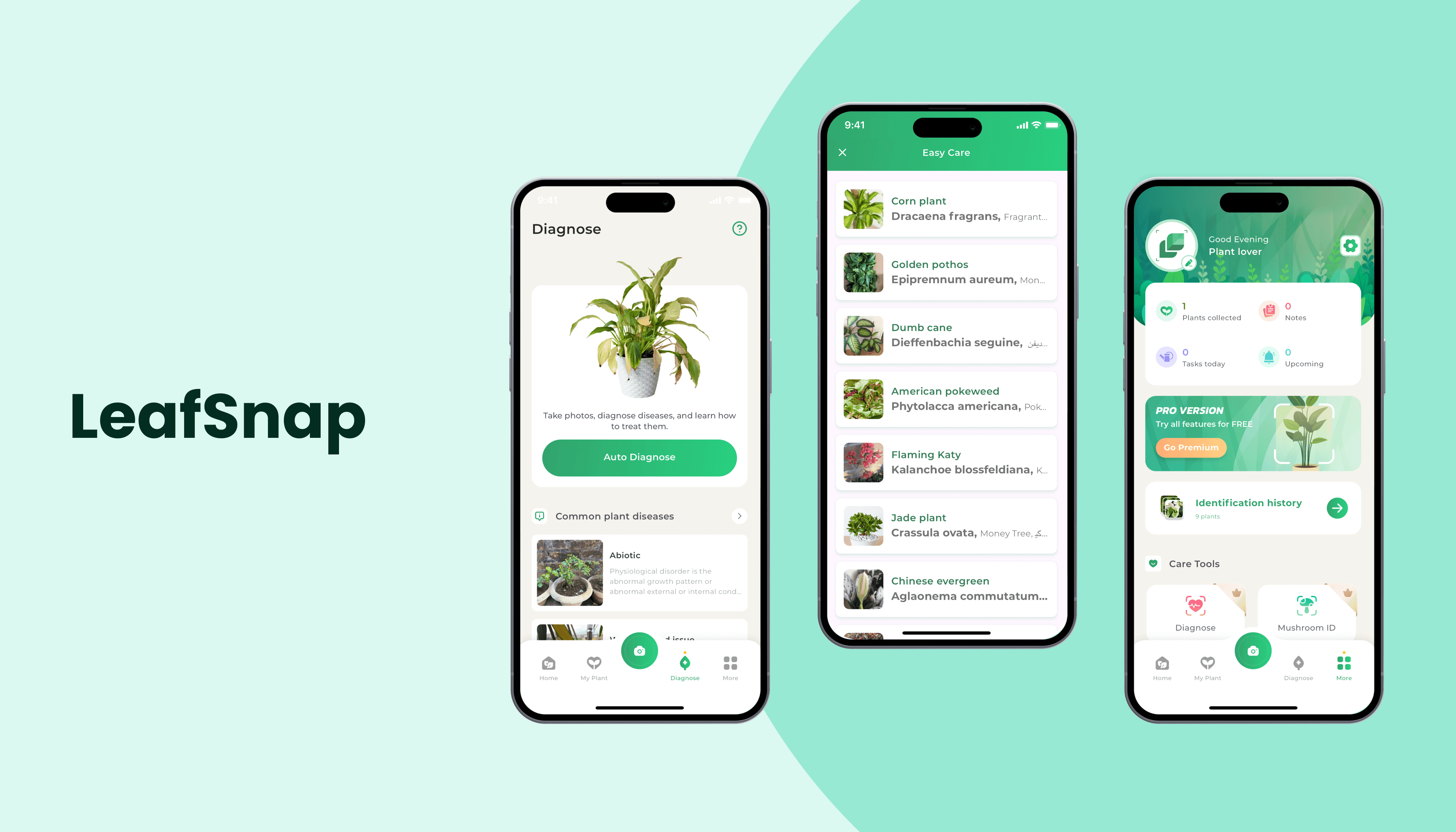 Best Plant Identification Apps 2025 (Features, Use Cases & Top Picks)