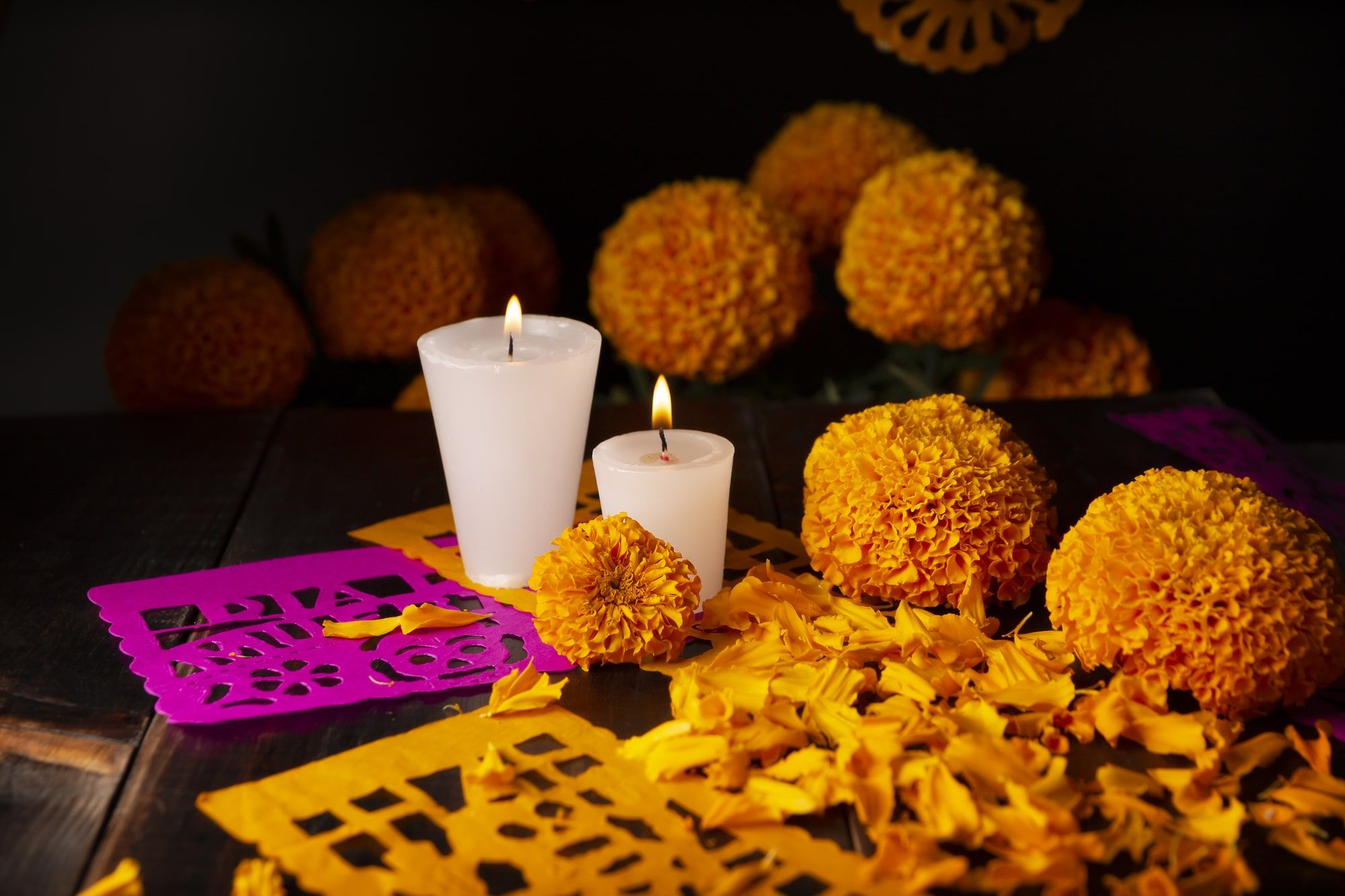 October Birth Flower Gift Guide: Marigold & Cosmos Overview