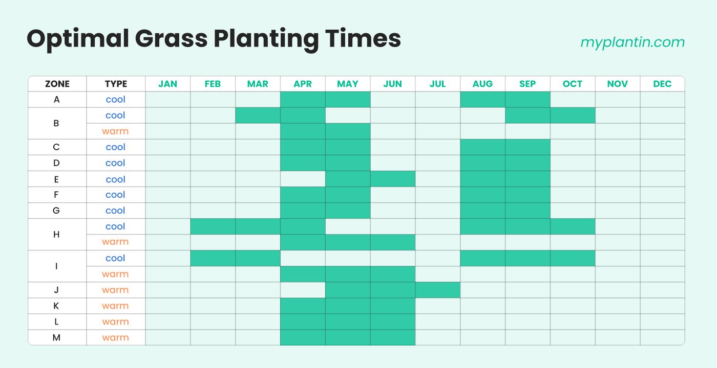 When to Plant Grass Seed - Best & Worst Time (Season Guide)