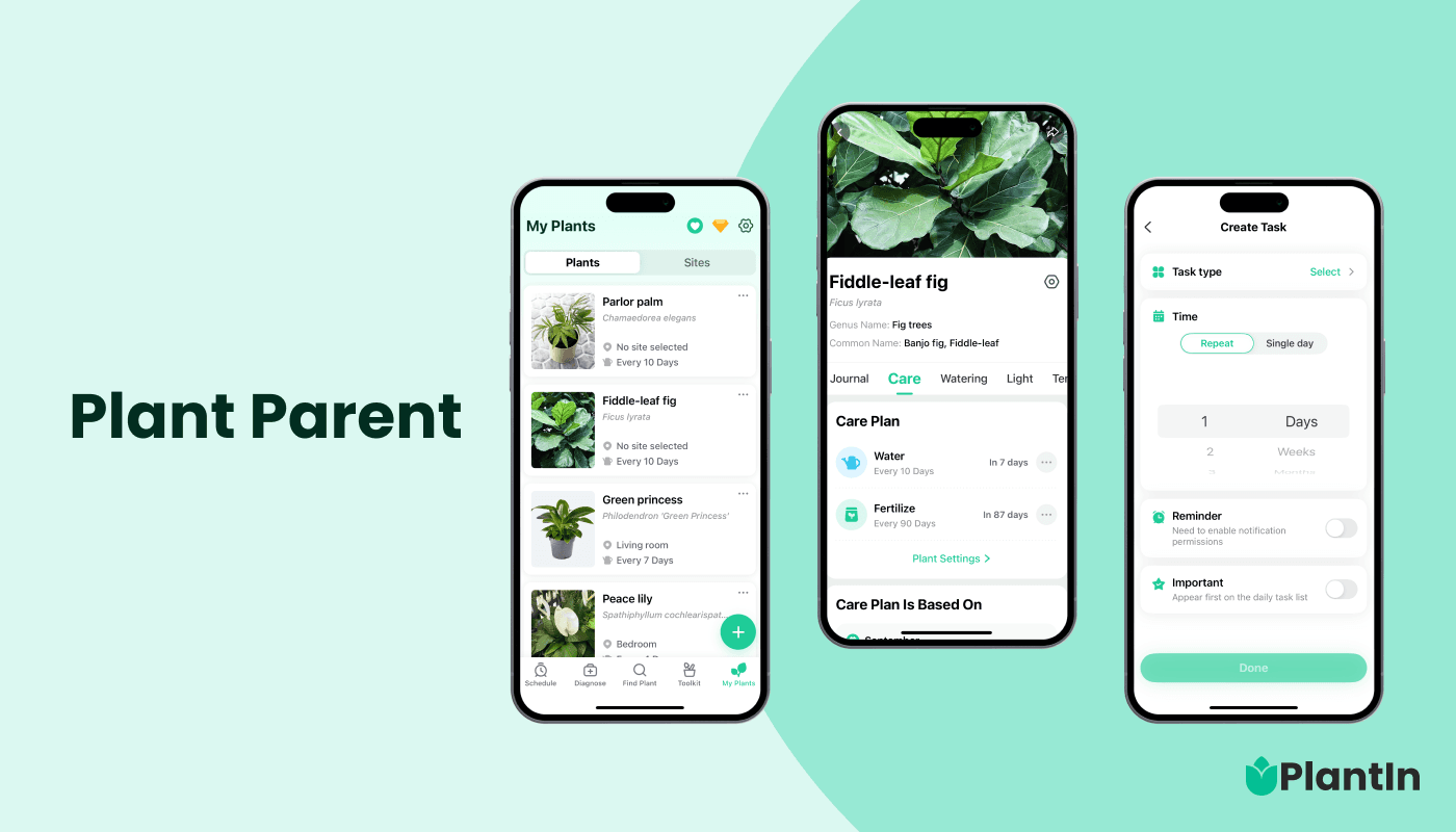 Best Plant Care Apps in 2026: 5 Picks to Try for Android and iOS Users