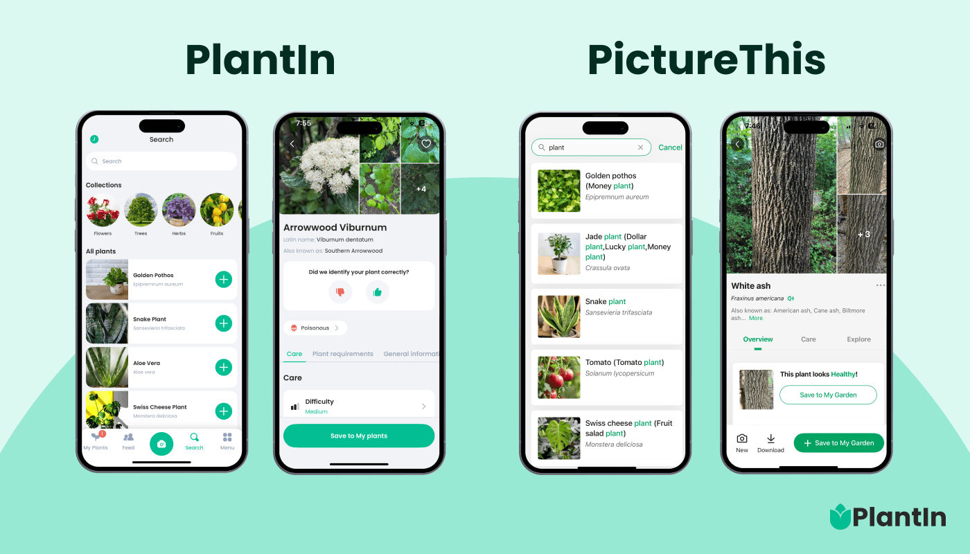 Plantin vs Picturethis: What Is the Best Plant App? (Full Review)