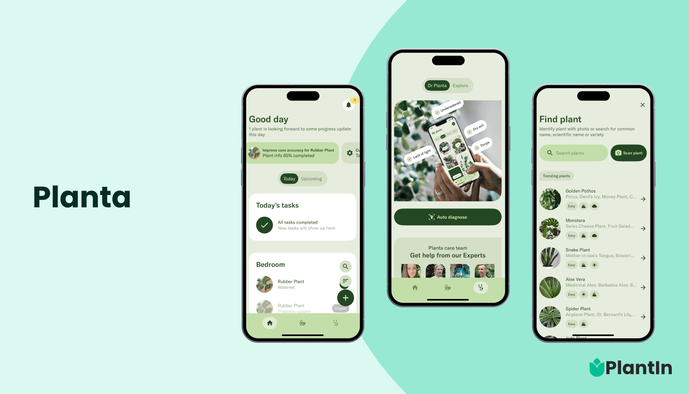 Best Plant Identification Apps 2025 (Features, Use Cases & Top Picks)