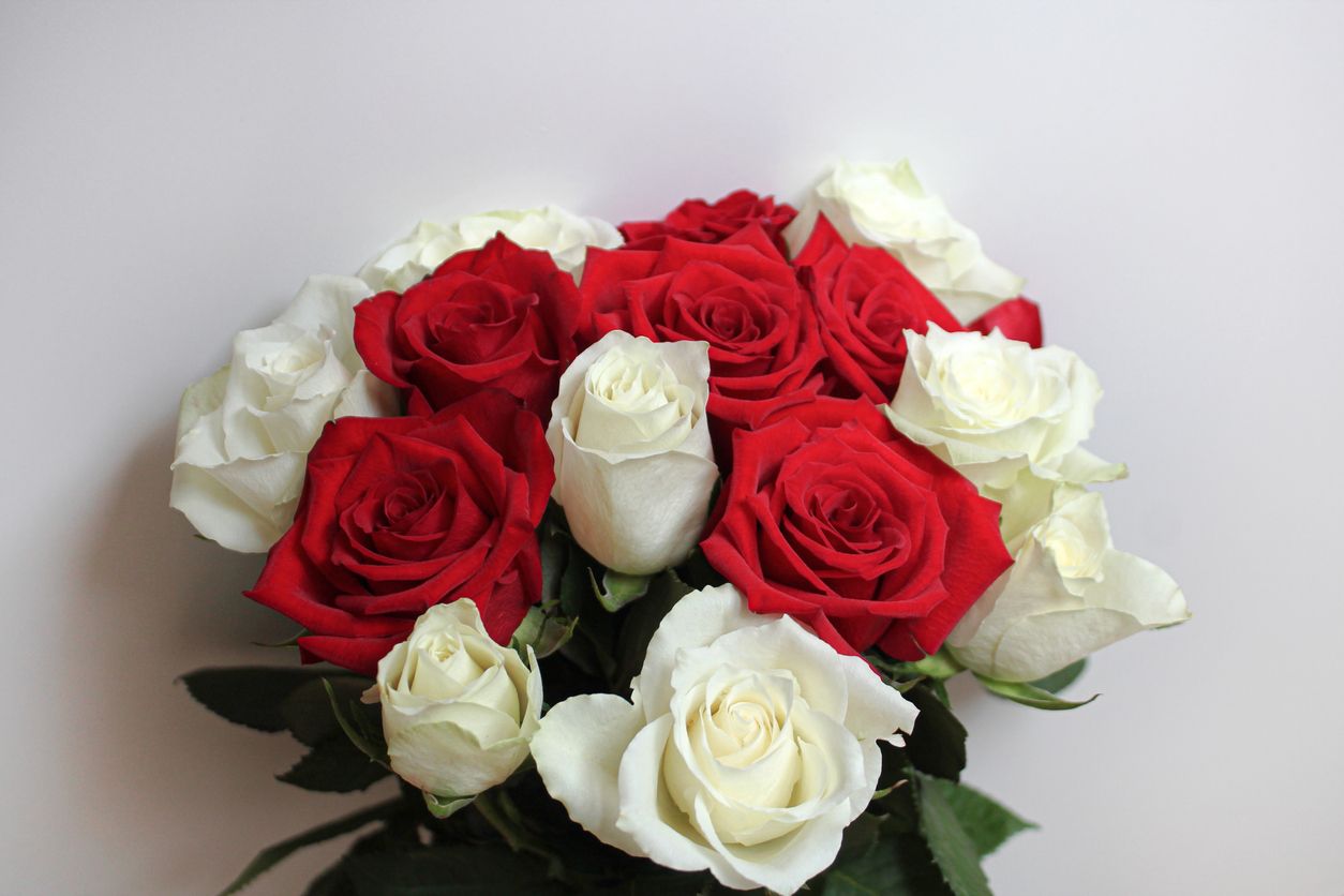 June Birth Flower – Is June a Rose or Honeysuckle?