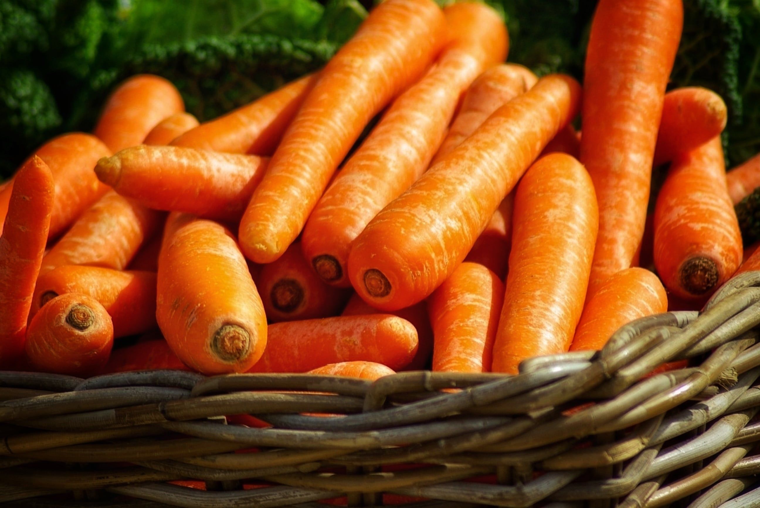 20+ Carrot Companion Plants to Choose & Avoid (Full Guide)