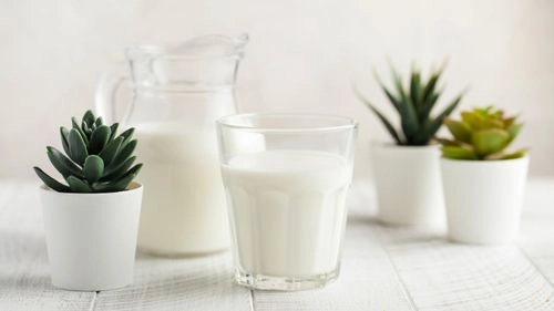 Is Milk Good for Plants? - Use Milk as Fertilizer & for Plant Care
