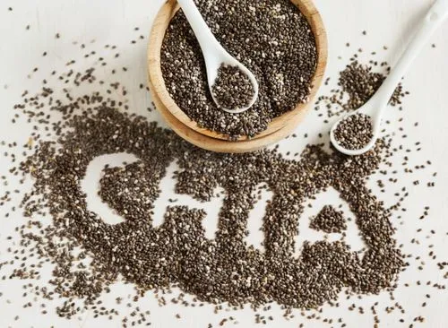 How to Grow Chia Seeds – Full Planting, Sprouting & Care Guide (2022)